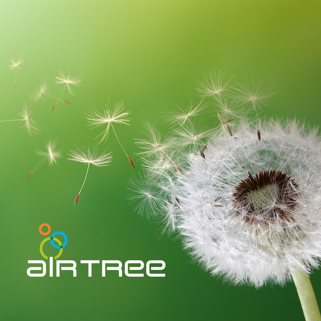 아이앤비에어 Airtree Branding - 인포크리에이티브